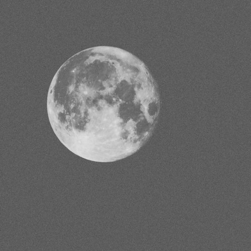 i watch the moon - Letras de i watch the moon | Musixmatch