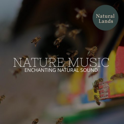 Nature Healing Discovery - Tepid Light Rain lyrics | Musixmatch
