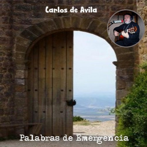 Letra de Palabras de emergencia de Carlos de Avila | Musixmatch