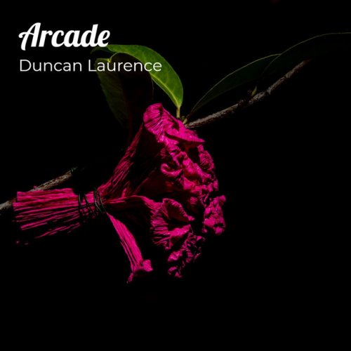 Duncan Laurence - Arcade Lyrics | Musixmatch