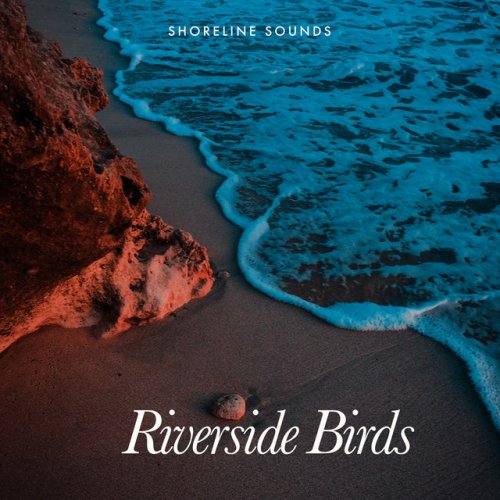 Shoreline Sounds - Redwing Jungle testo | Musixmatch