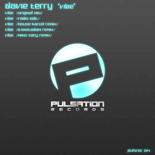 Letra de Davie Terry - Vibe - House Kartel Reebost Remix | Musixmatch
