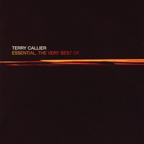 Letra de Terry Callier - Dancing Girl | Musixmatch