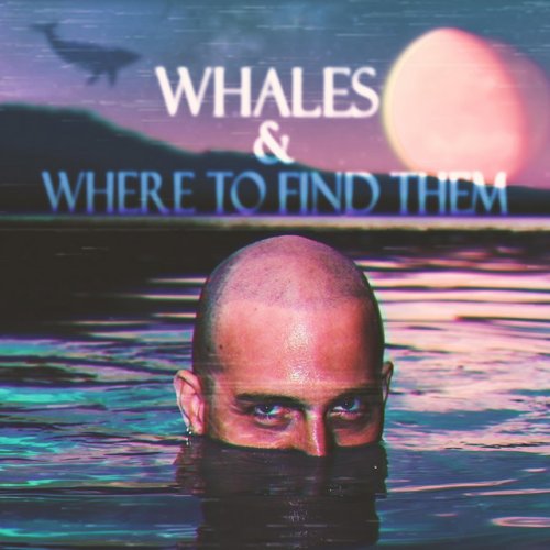 Letra de Whales and Where to Find Them de Alex Aris | Musixmatch