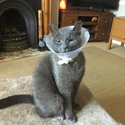 Arun Moorthy - Skin and Bones Lyrics | Musixmatch