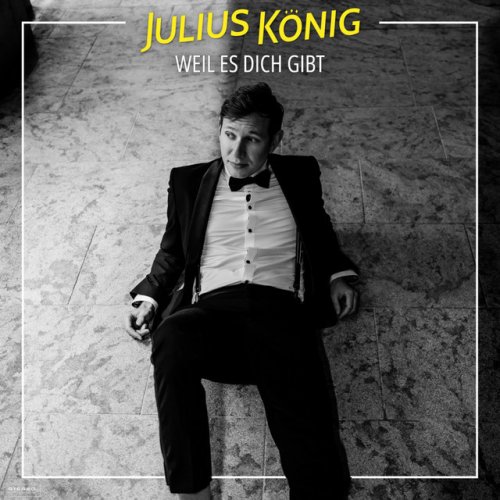 Julius König - Letra de Weil es dich gibt | Musixmatch