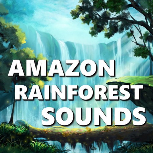 Letra de Rainforest Sounds - Jungle Sounds | Musixmatch
