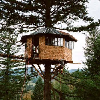 Alex G - Treehouse lyrics | Musixmatch