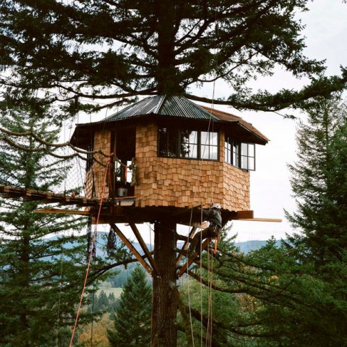 Alex G - Treehouse lyrics | Musixmatch