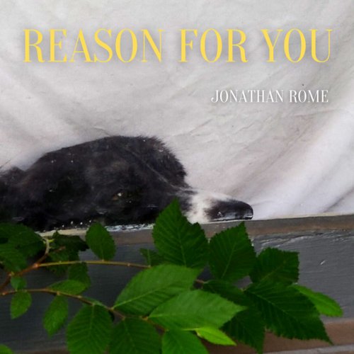 Traducción de la letra de Reason for You de Jonathan Rome al Espanol ...