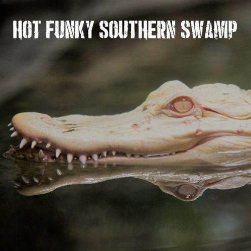 Mark Barefoot - Swamp Rig Lyrics | Musixmatch