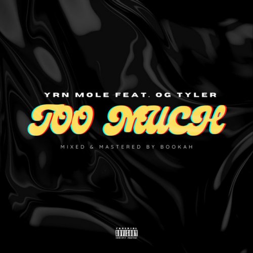 Yrn Mole - Too Much (feat. OG Tyler) Lyrics | Musixmatch