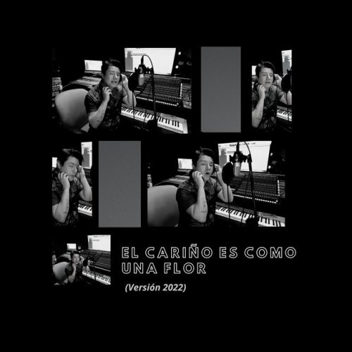 Jerry Díaz feat. Grupo Abracadabra & Los Sultanes - El Cariño Es Como ...