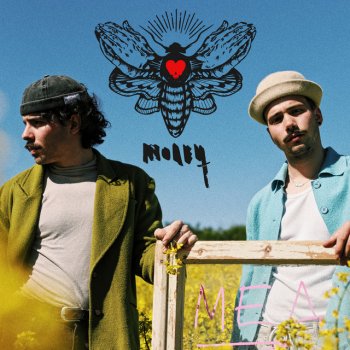 Molec lyrics | Musixmatch