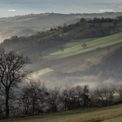 Whake - Where to Go lyrics | Musixmatch