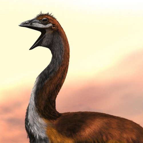 Traxt Feat Mintedzerosix Da Biggest Bird Lyrics Musixmatch