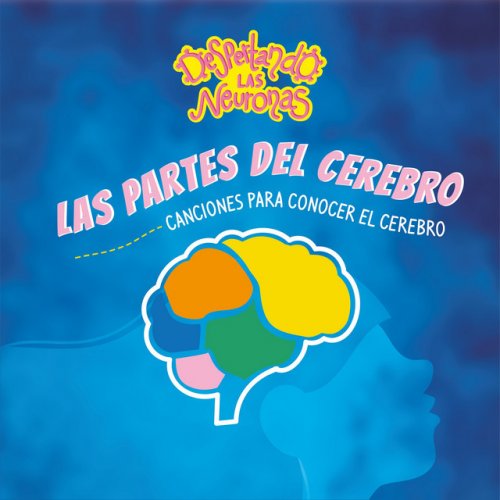Letra de Las Partes del Cerebro de Despertando Las Neuronas | Musixmatch