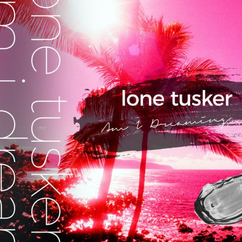 Lone Tusker feat. Ben Woodward - Am I Dreaming Lyrics | Musixmatch