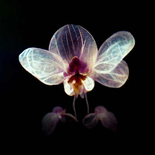 Letra de parallel patterns - Temporary State | Musixmatch