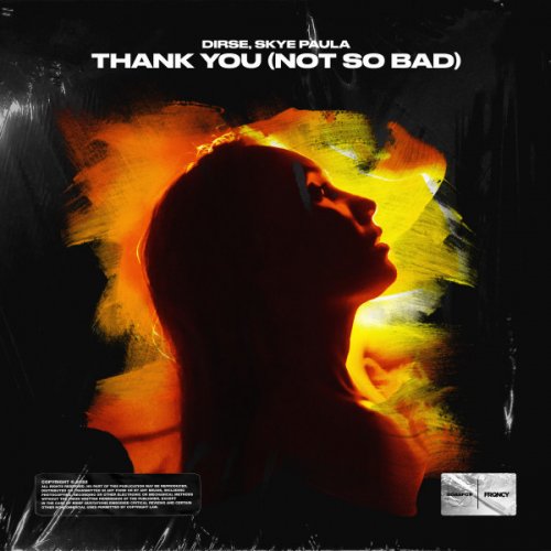 Dirse feat. Skye Paula - Thank You (Not So Bad) Lyrics | Musixmatch