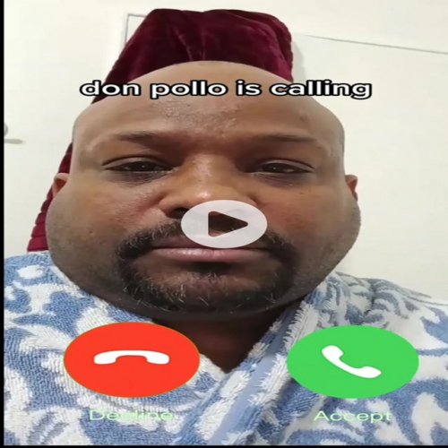 Letra de Don Pollo, Yuno Meters - Top 10 Don Pollo Audios | Musixmatch