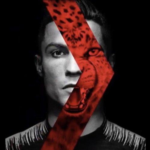 Musixmatch - The world's largest lyrics catalog
