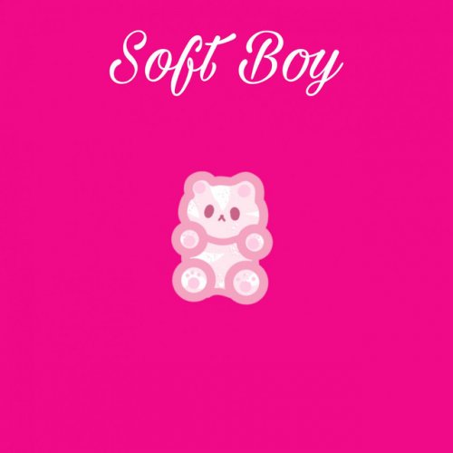 Yung Tripp feat. Wilbur Soot - Soft Boy Lyrics | Musixmatch