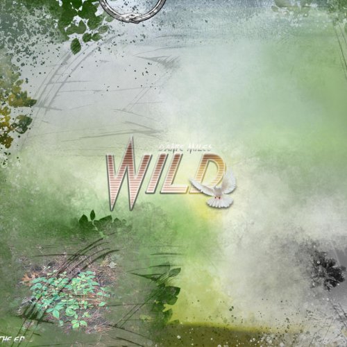 Dante Miles - High Frequency 歌詞 | Musixmatch