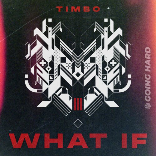 Timbo - What If Lyrics | Musixmatch